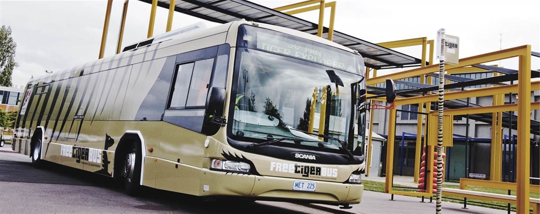 Free Tiger Bus - City of Launceston