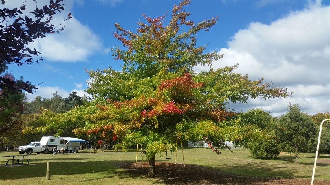 Myrtle Park Recreation Ground - City of Launceston